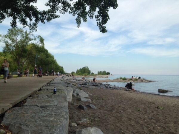 Best Summer Spots In Toronto