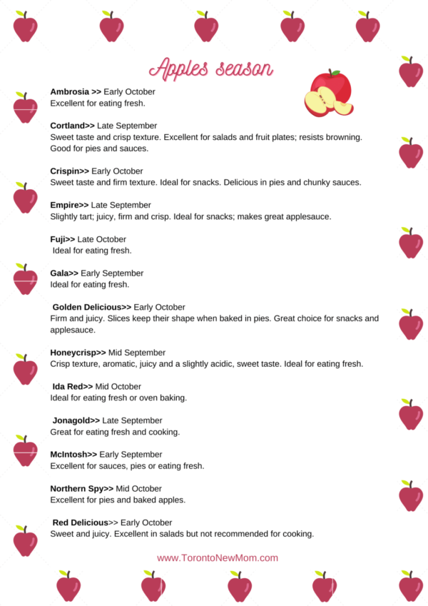 Fall Family Activity- Apple Picking Toronto & GTA