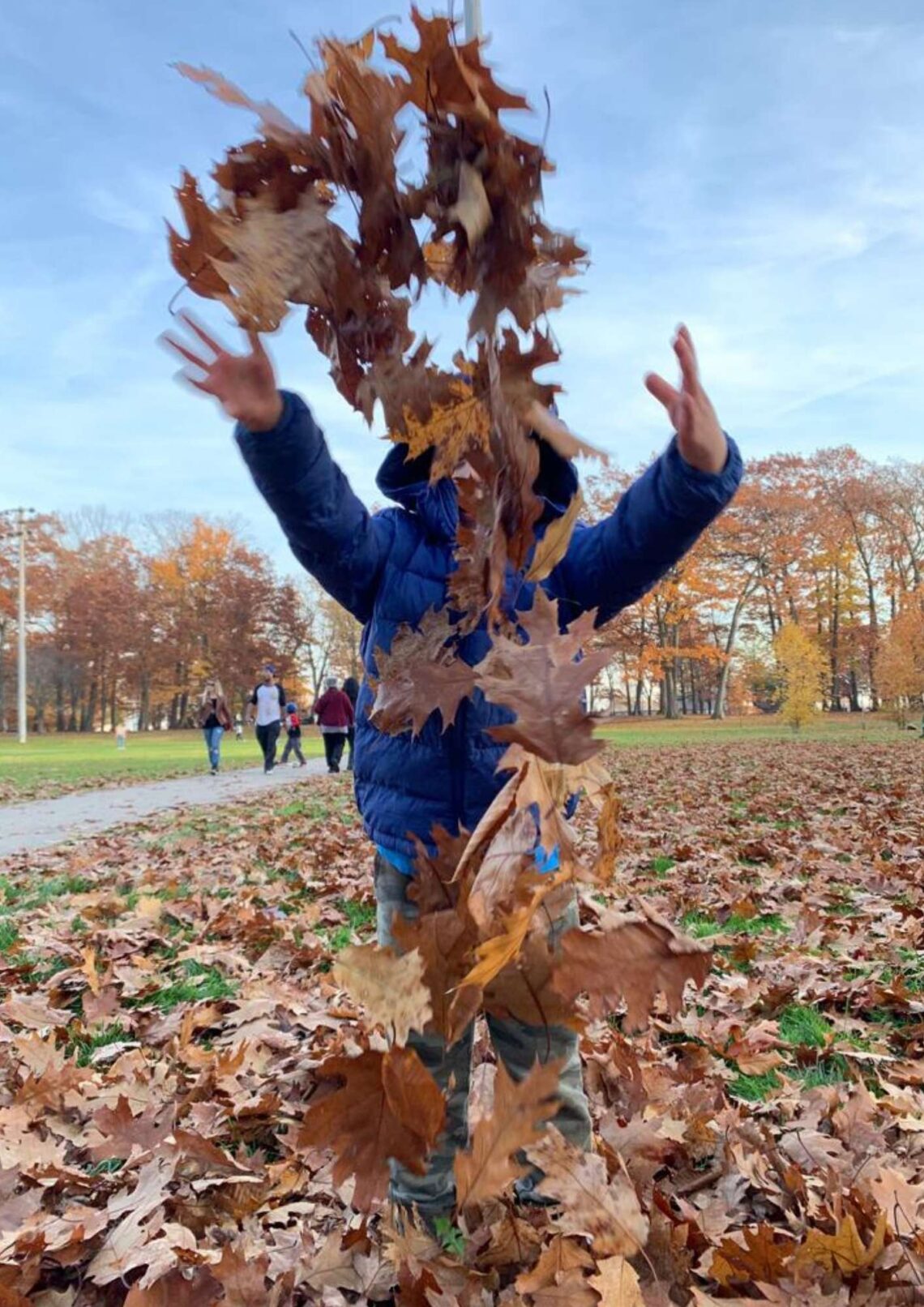 Fall Foliage Spots Toronto and GTA